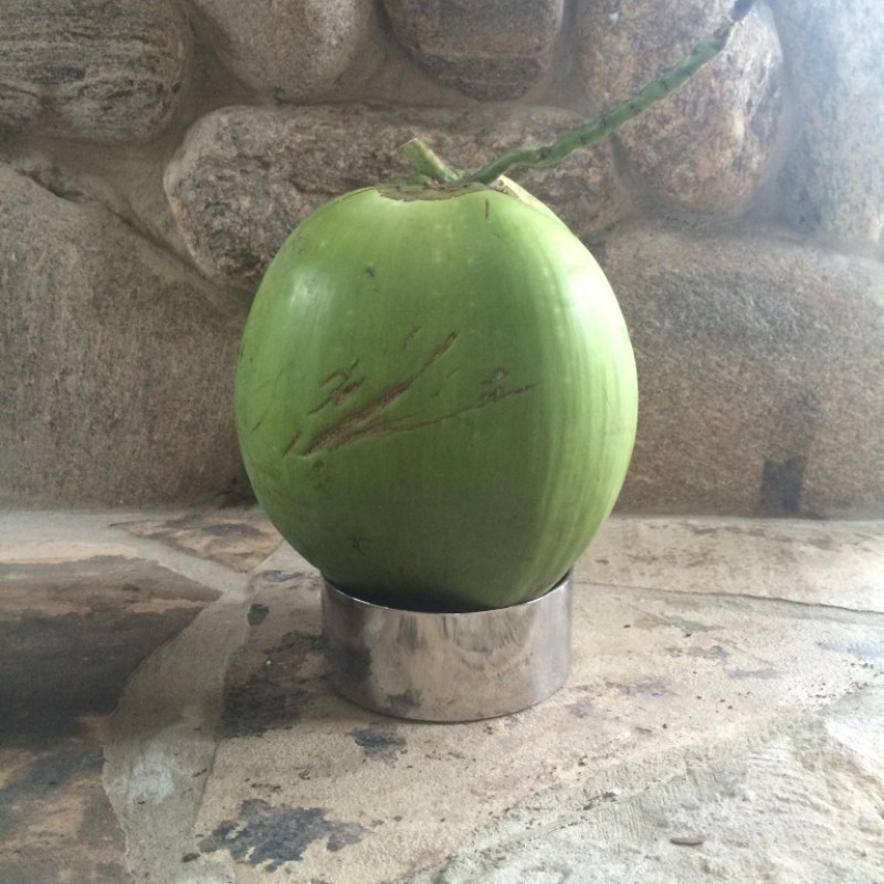 Stainless Steel Coconut Holder - Florida Coconuts - Store