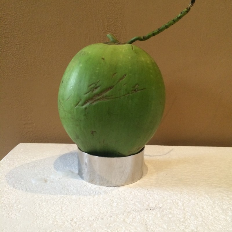 Stainless Steel Coconut Holder - Florida Coconuts - Store